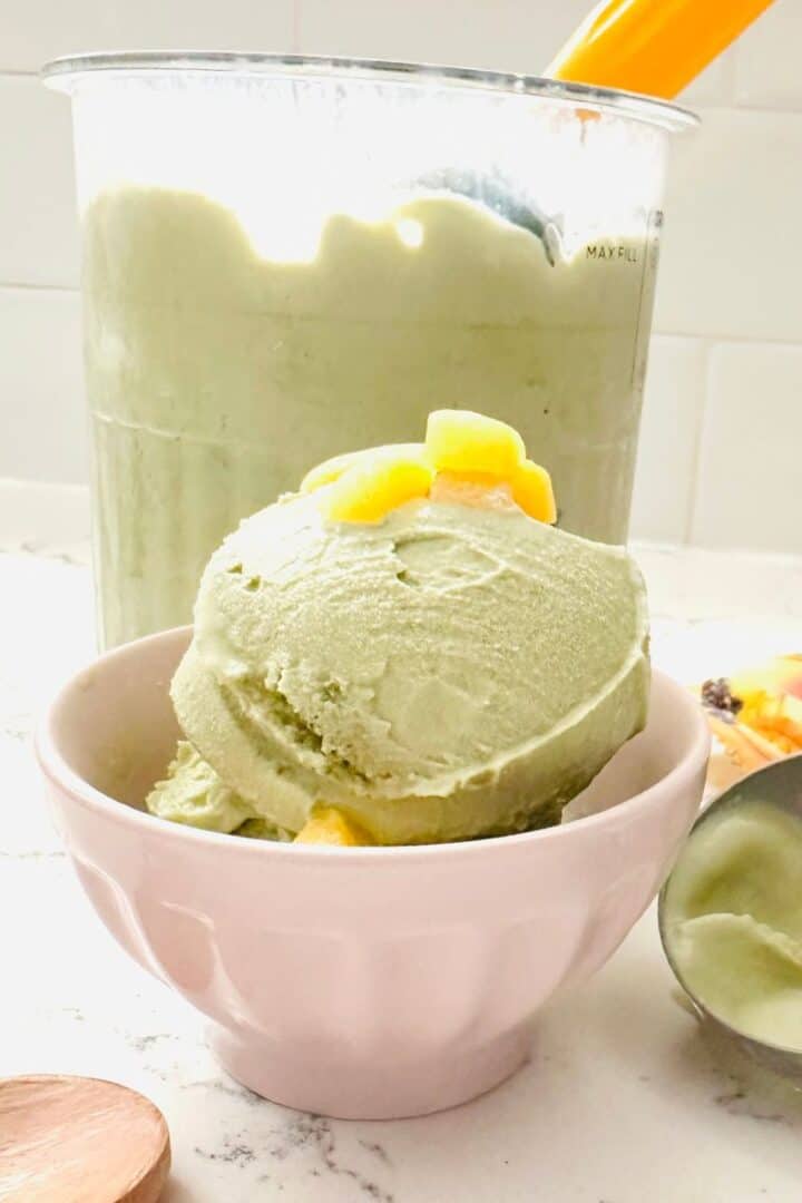 Ninja Creami Basic Vanilla Base Recipe - TheCreameri | Ninja Creami Recipes