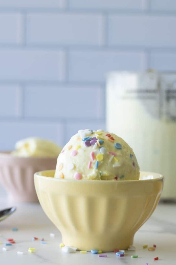 Ninja Creami Basic Vanilla Base Recipe - The Creameri