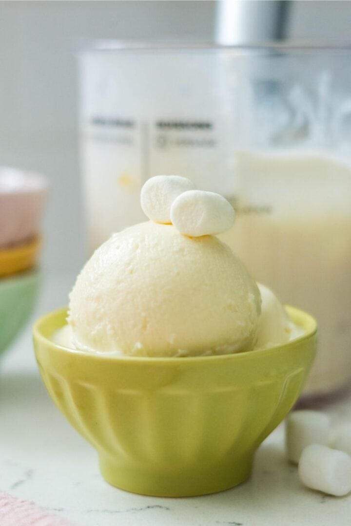 Ninja Creami Basic Vanilla Base Recipe - The Creameri