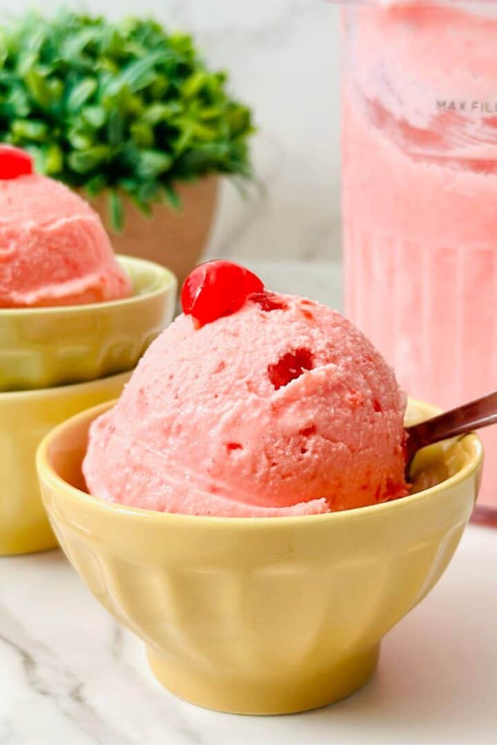 Ninja Creami Basic Vanilla Base Recipe - The Creameri