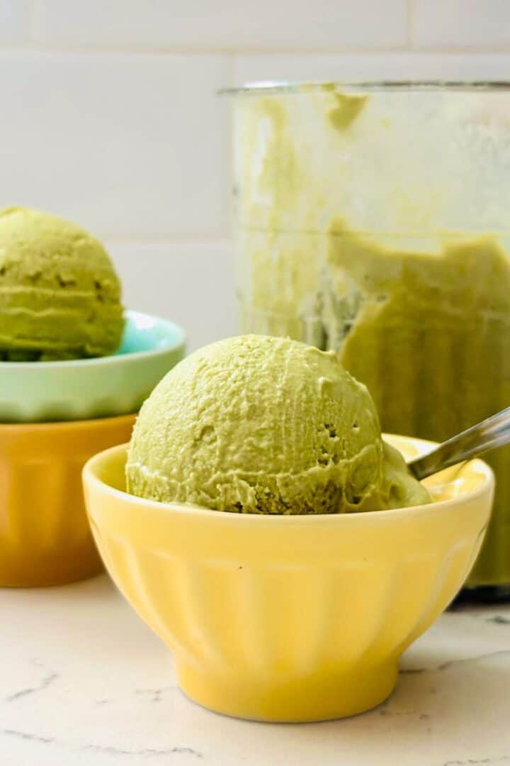 Ninja Creami Basic Vanilla Base Recipe - The Creameri