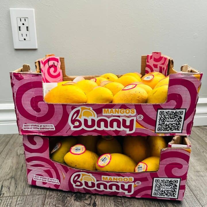 Ninja Creami 3-Ingredient Mango Ice Cream - The Creameri