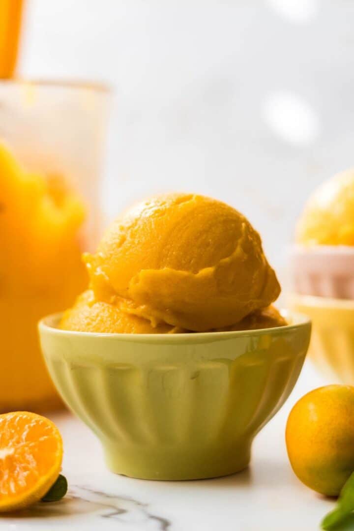 Ninja Creami Basic Vanilla Base Recipe - The Creameri