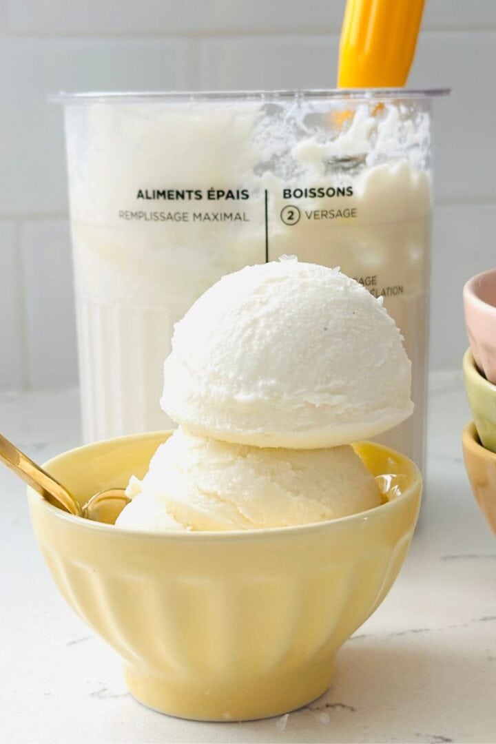 Ninja Creami Basic Vanilla Base Recipe - The Creameri