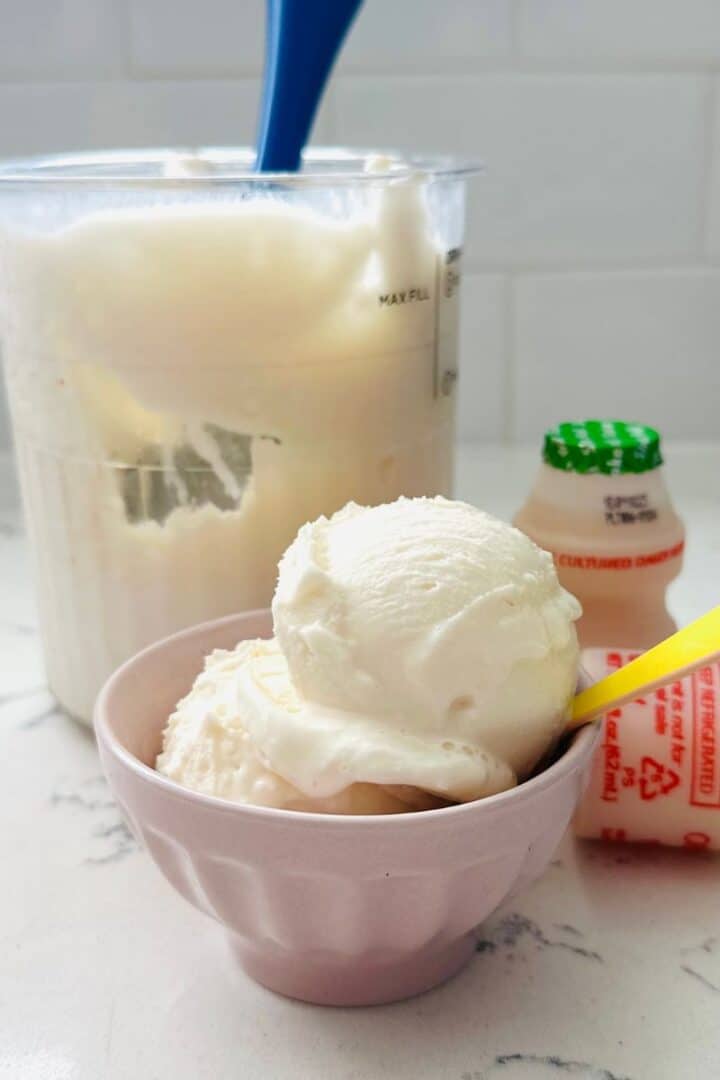 Ninja Creami Basic Vanilla Base Recipe - The Creameri