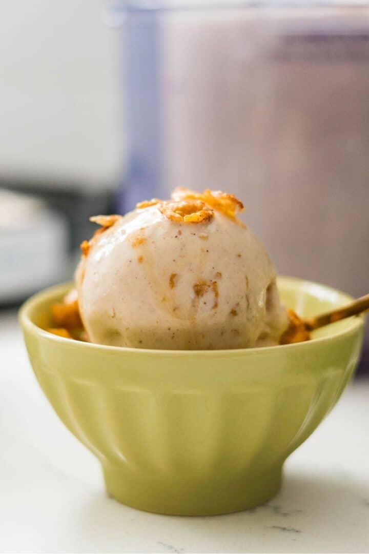 Ninja Creami Basic Vanilla Base Recipe - The Creameri