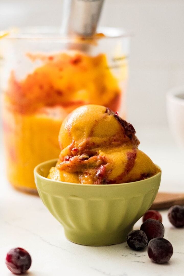 Ninja Creami Basic Vanilla Base Recipe - TheCreameri | Ninja Creami Recipes