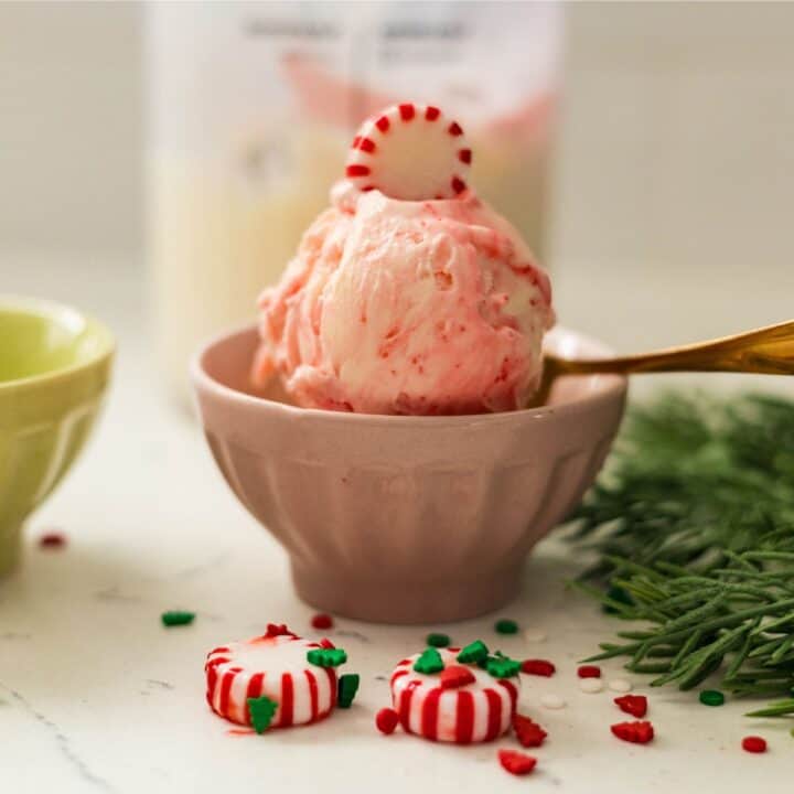Ninja Creami Candy Cane Ice Cream - TheCreameri | Ninja Creami Recipes