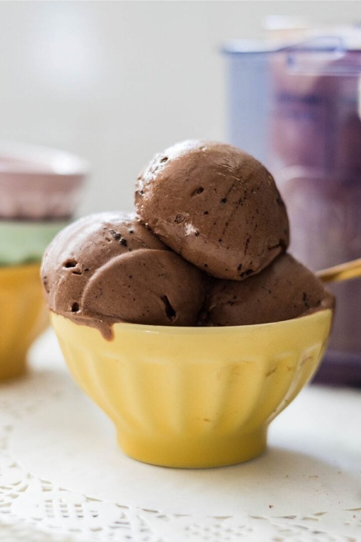 Ninja Creami Basic Vanilla Base Recipe - The Creameri